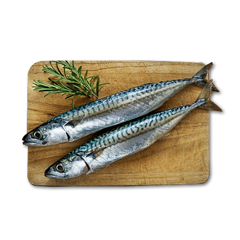 Produk - Seafood CV Sukses Mandiri